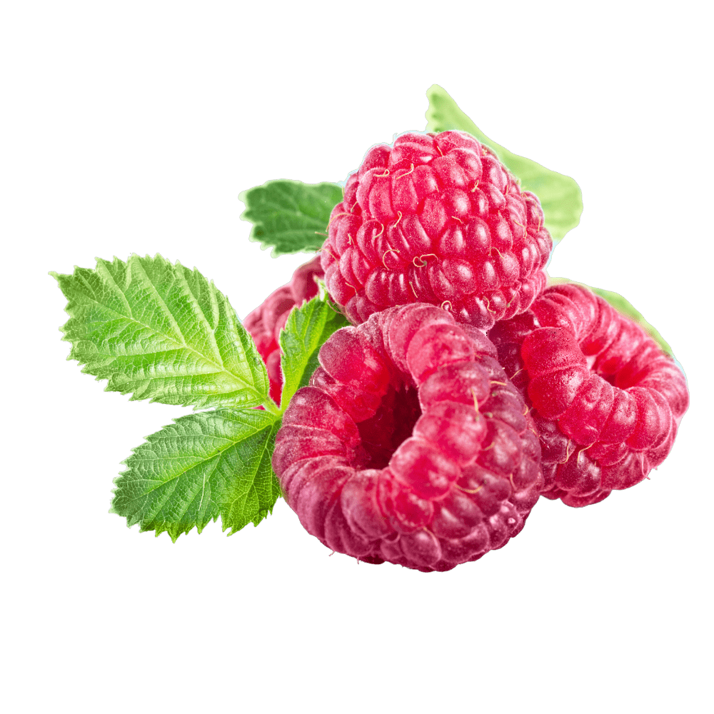 Rasberry – Jaivikhaat